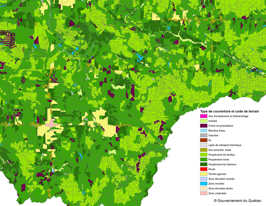 Foresterie - Service des bibliothèques et archives - Université de ...