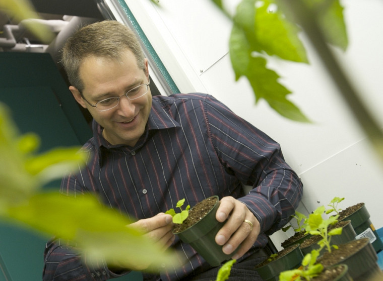 L'origine du nématode de la pomme de terre remise en question ...